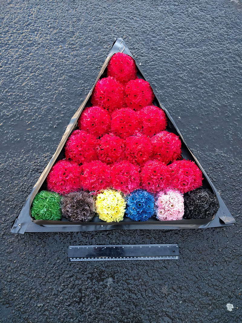 Sport - Fragrance Florist, Grimsby